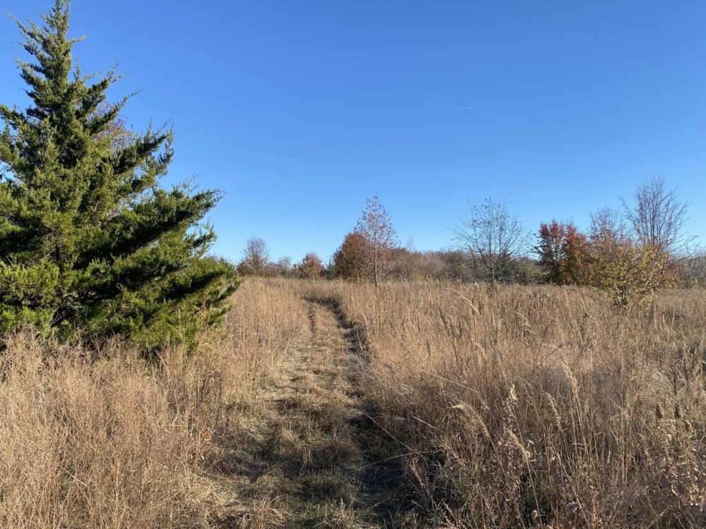 000 Perrine Street Centralia IL 62801 - Hunting Land for Sale ...