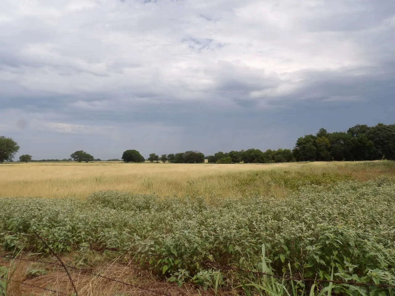 589 ACRE REACREATIONAL AND MULTI USE LAND - Hunting Land for Sale ...