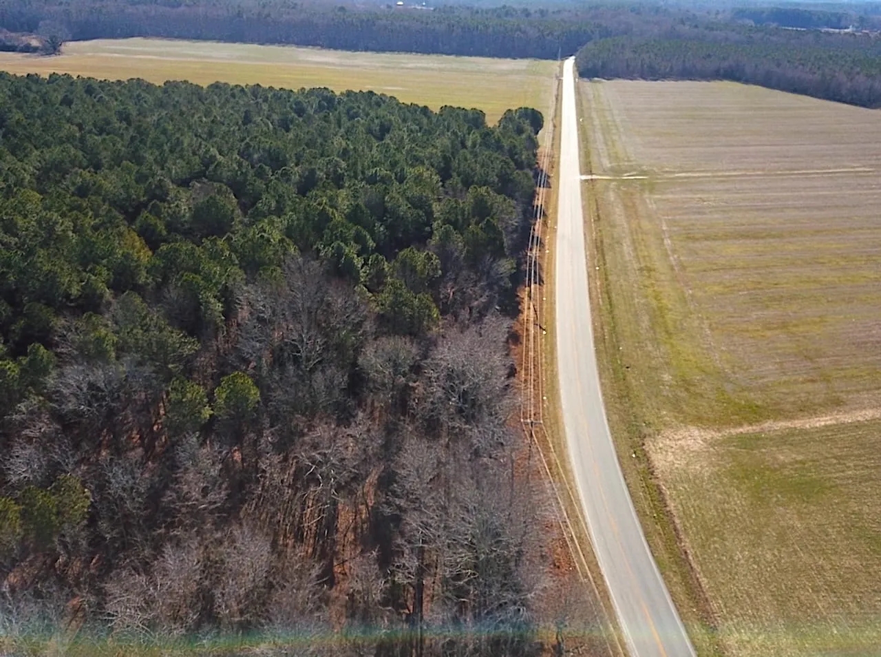 32 acres of Timber Land for Sale in Accomack County VA - Hunting Land ...