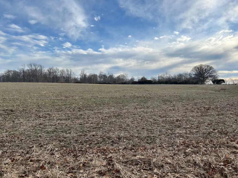 23 Acres In Poland - Hunting Land for Sale - HuntingLocator.com ...
