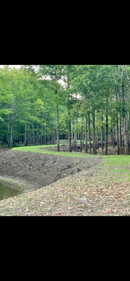 LA - Caldwell 395 acres - - Hunting Land for Sale - HuntingLocator.com - HuntingLocator.com