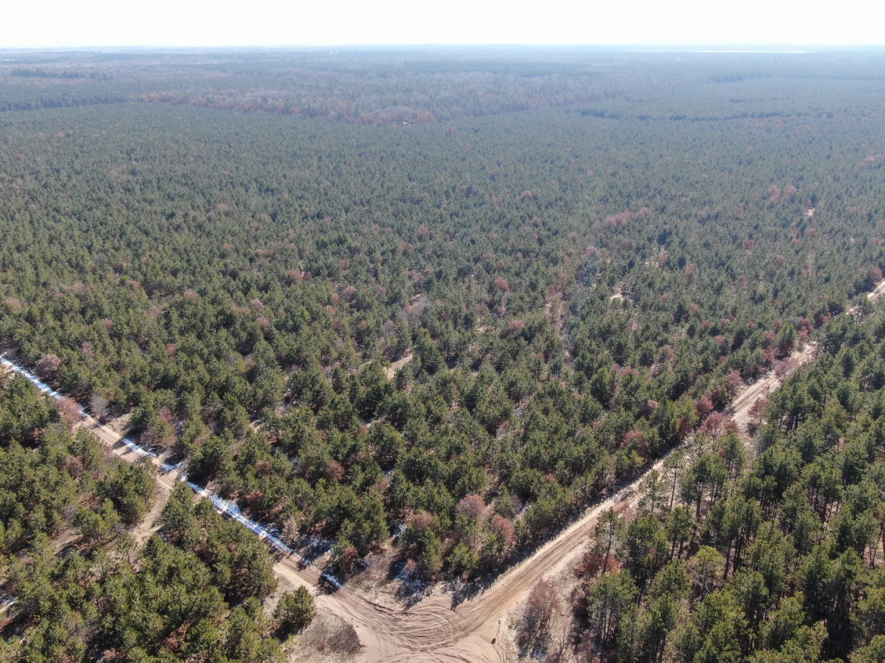 Town of Rome 80 acre timber lot for sale in Adams County WI - Hunting ...