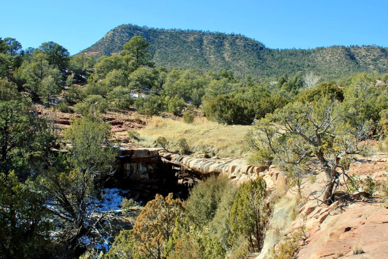 Mesa Springs Ranch - Hunting Land for Sale - HuntingLocator.com ...