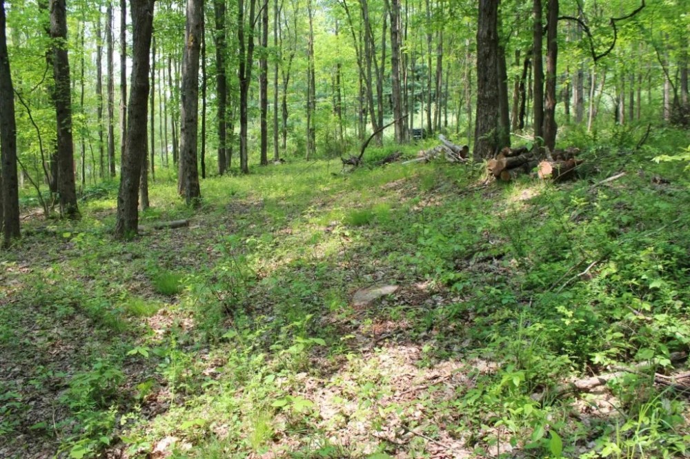 18 acre Building Lot in Conklin NY 289 Ahern Road - Hunting Land for ...