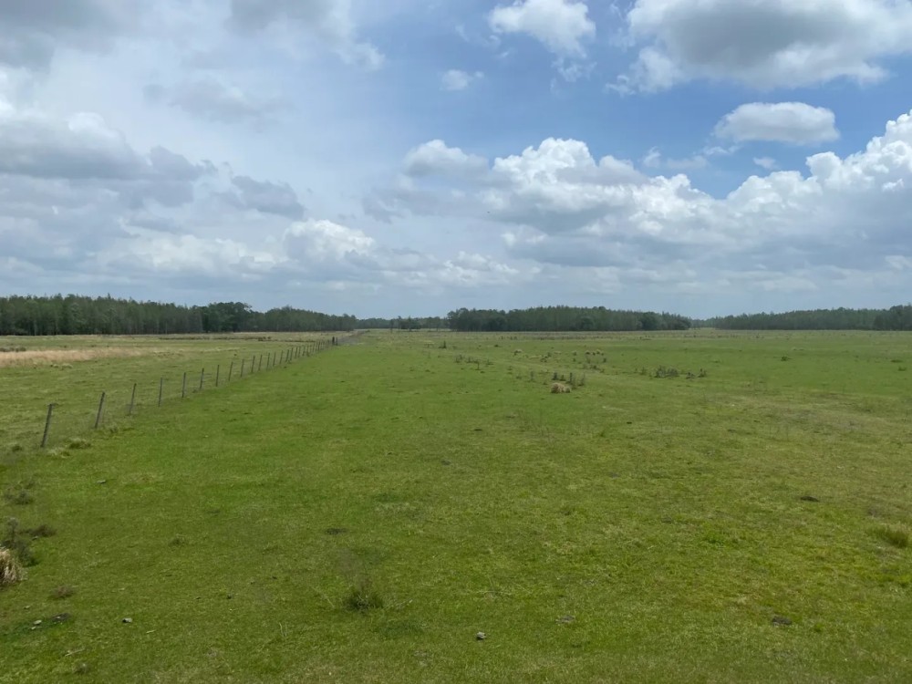 JEH Ranch - Hunting Land for Sale - HuntingLocator.com - HuntingLocator.com