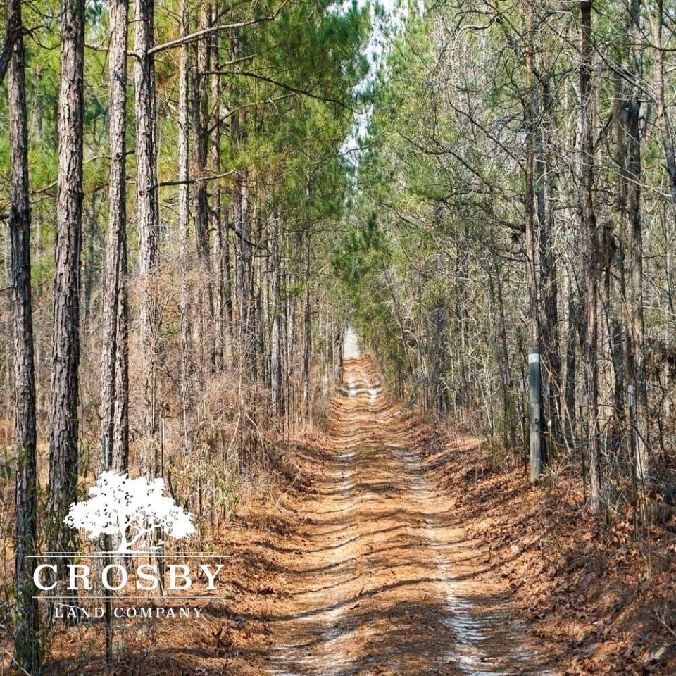 Glynn Girard - Hunting Land for Sale - HuntingLocator.com ...