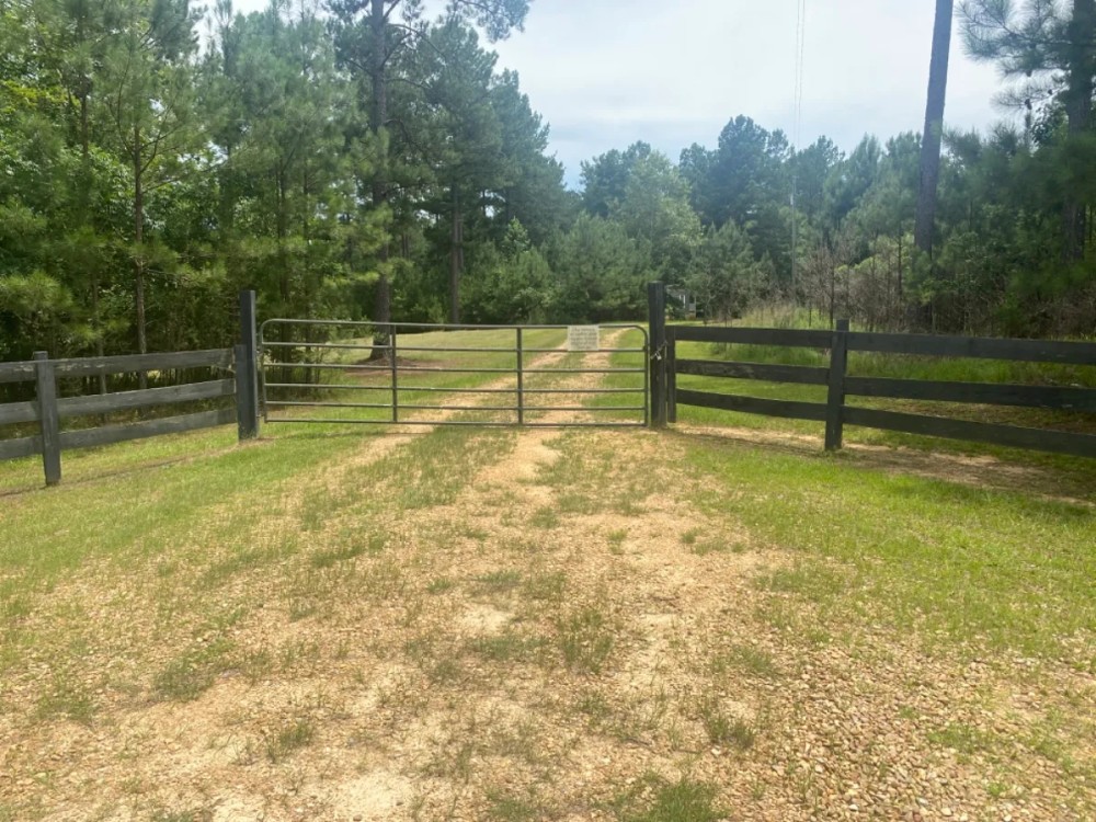 Small Acreage National Forest Getaway - Hunting Land for Sale ...