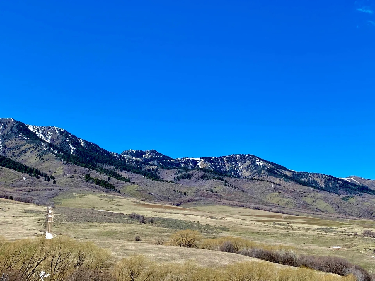 Steel Canyon Ranch - Hunting Land for Sale - HuntingLocator.com ...