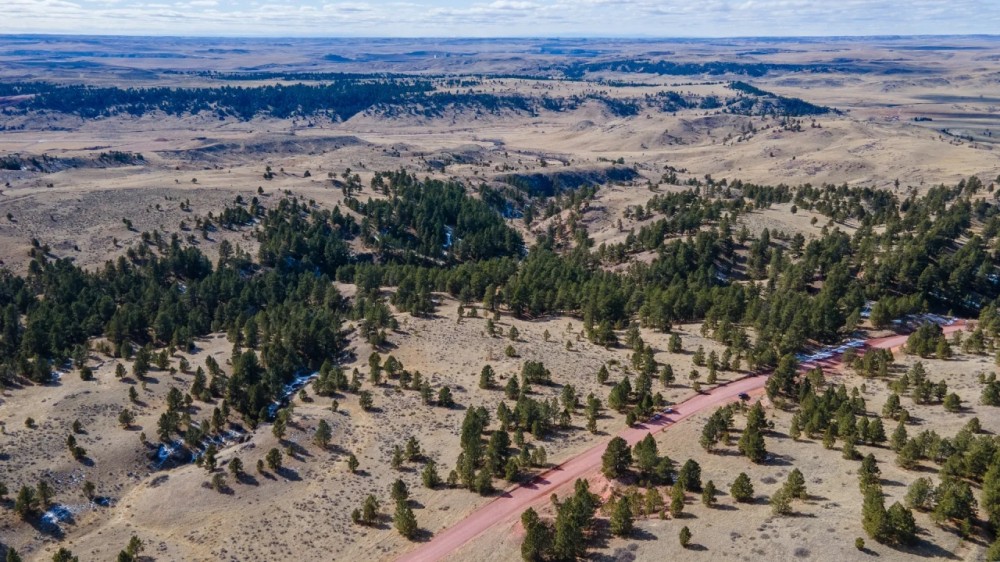 A-8 Broad Axe Rd - Hunting Land for Sale - HuntingLocator.com ...