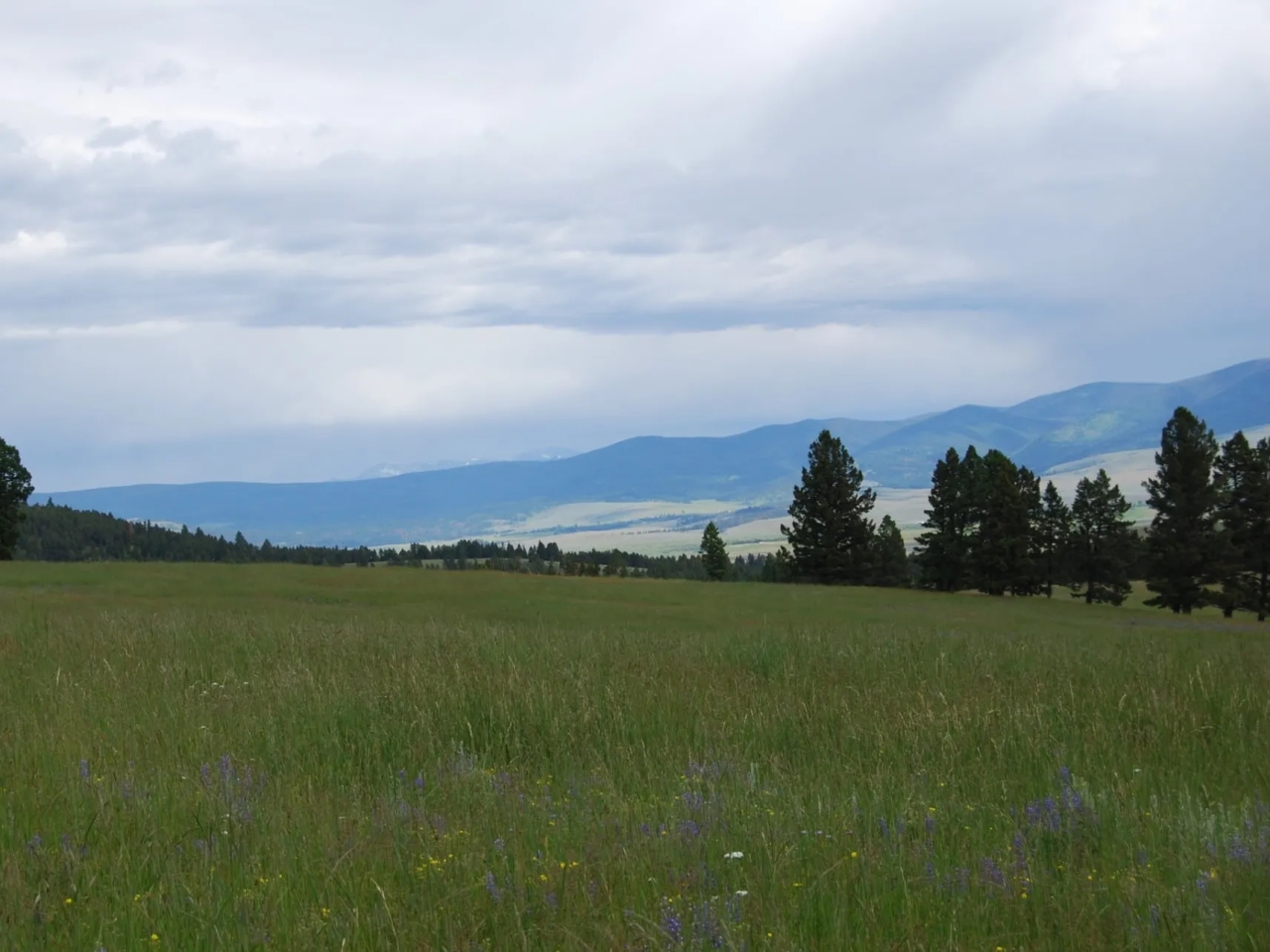 Montana Little Valley Ranch - Hunting Land for Sale - HuntingLocator ...