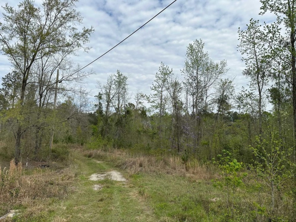 39 Acres Glynn County GA - Hunting Land for Sale - HuntingLocator.com ...
