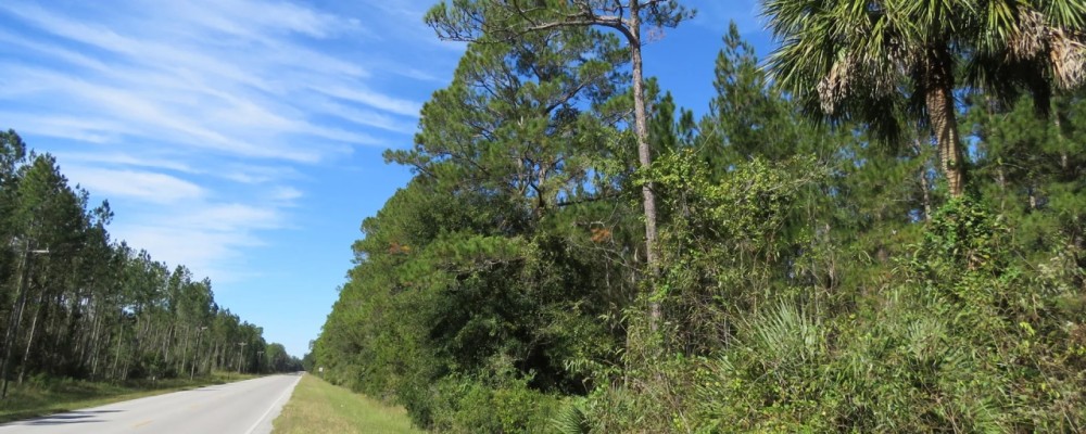 Fort McCoy Timber Hunting - Hunting Land for Sale - HuntingLocator.com ...