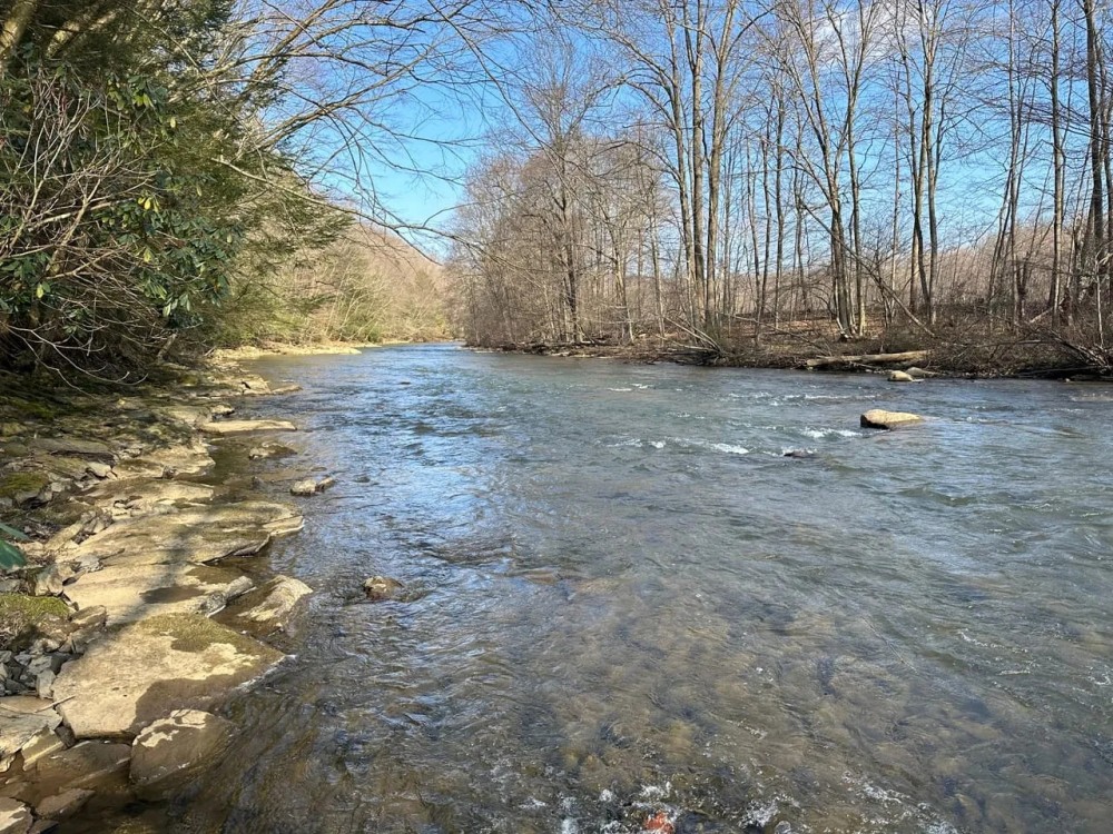 Bloom Road - Somerset - Hooversville - 23.69 - Hunting Land for Sale ...