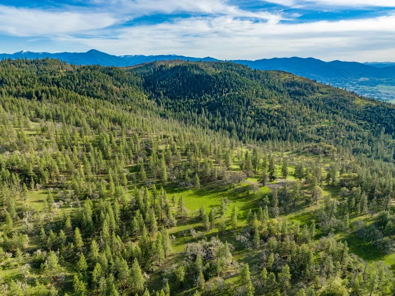 Mount Baldy Ranch - Hunting Land for Sale - HuntingLocator.com ...