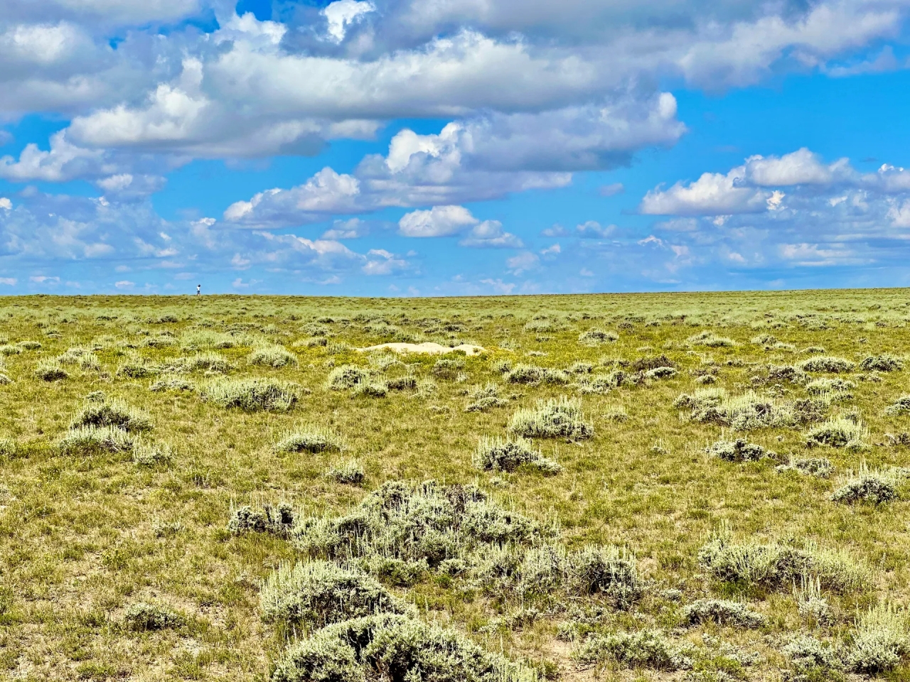 Medicine Bow Ranch - Hunting Land for Sale - HuntingLocator.com ...