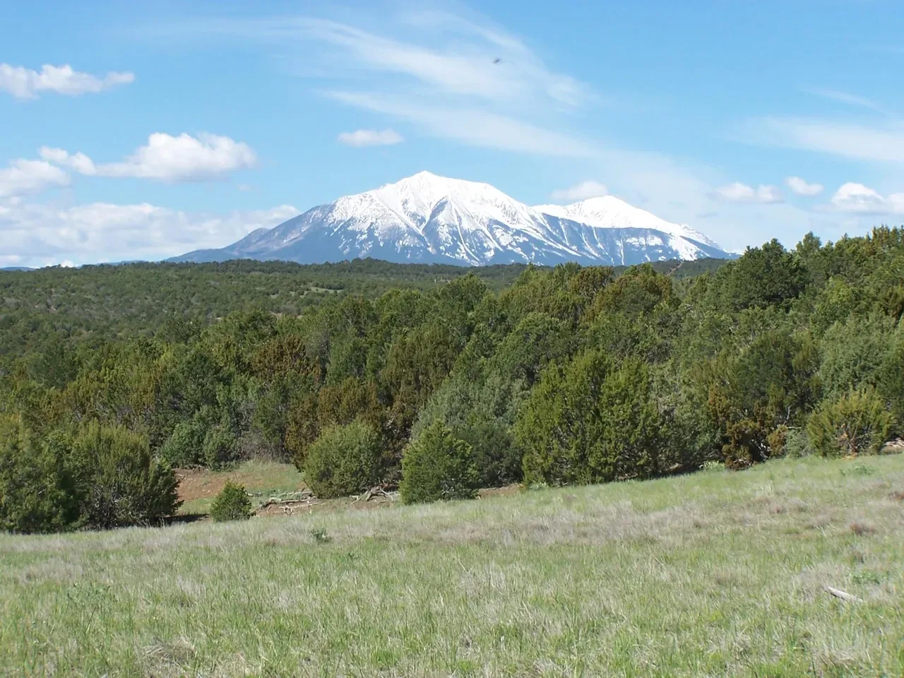 122 Silver Spurs Ranch - Hunting Land for Sale - HuntingLocator.com ...