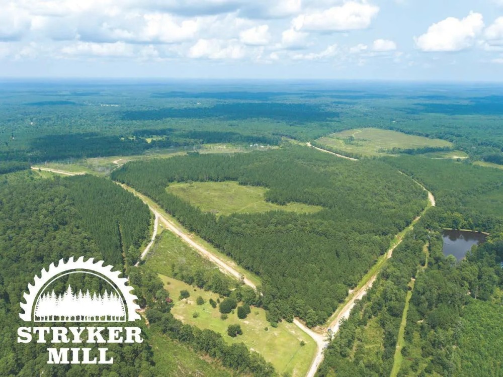 61 Acres T-7 Stryker Mill - Hunting Land for Sale - HuntingLocator.com ...