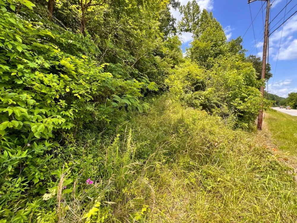 4 Acres of Land - Hunting Land for Sale - HuntingLocator.com ...