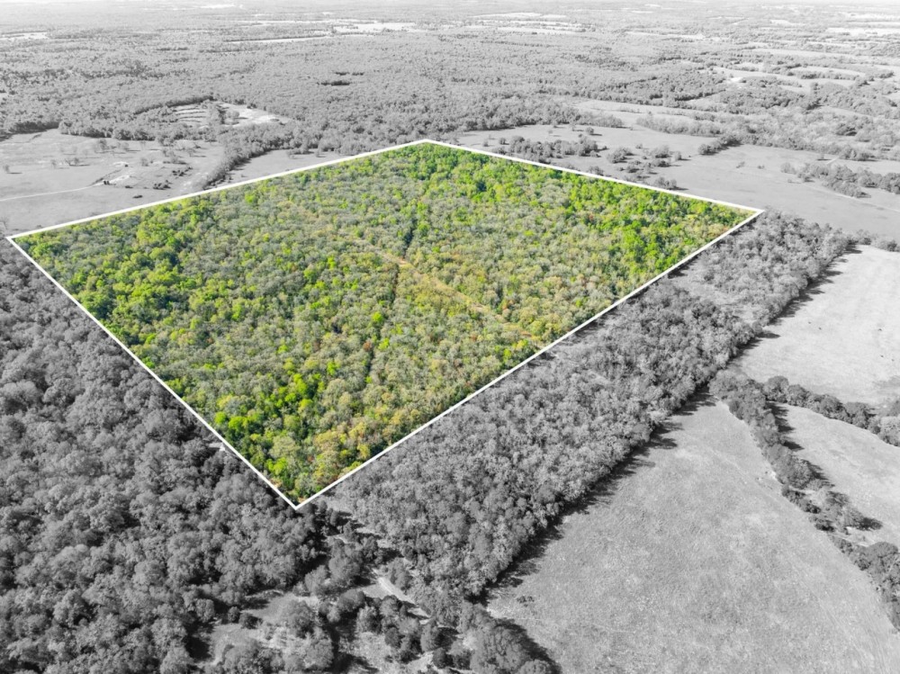 000 FM 1246 Thornton TX 76687 - Hunting Land for Sale - HuntingLocator ...