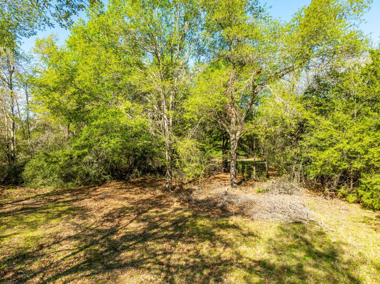 000 FM 1246 Thornton TX 76687 - Hunting Land for Sale - HuntingLocator ...