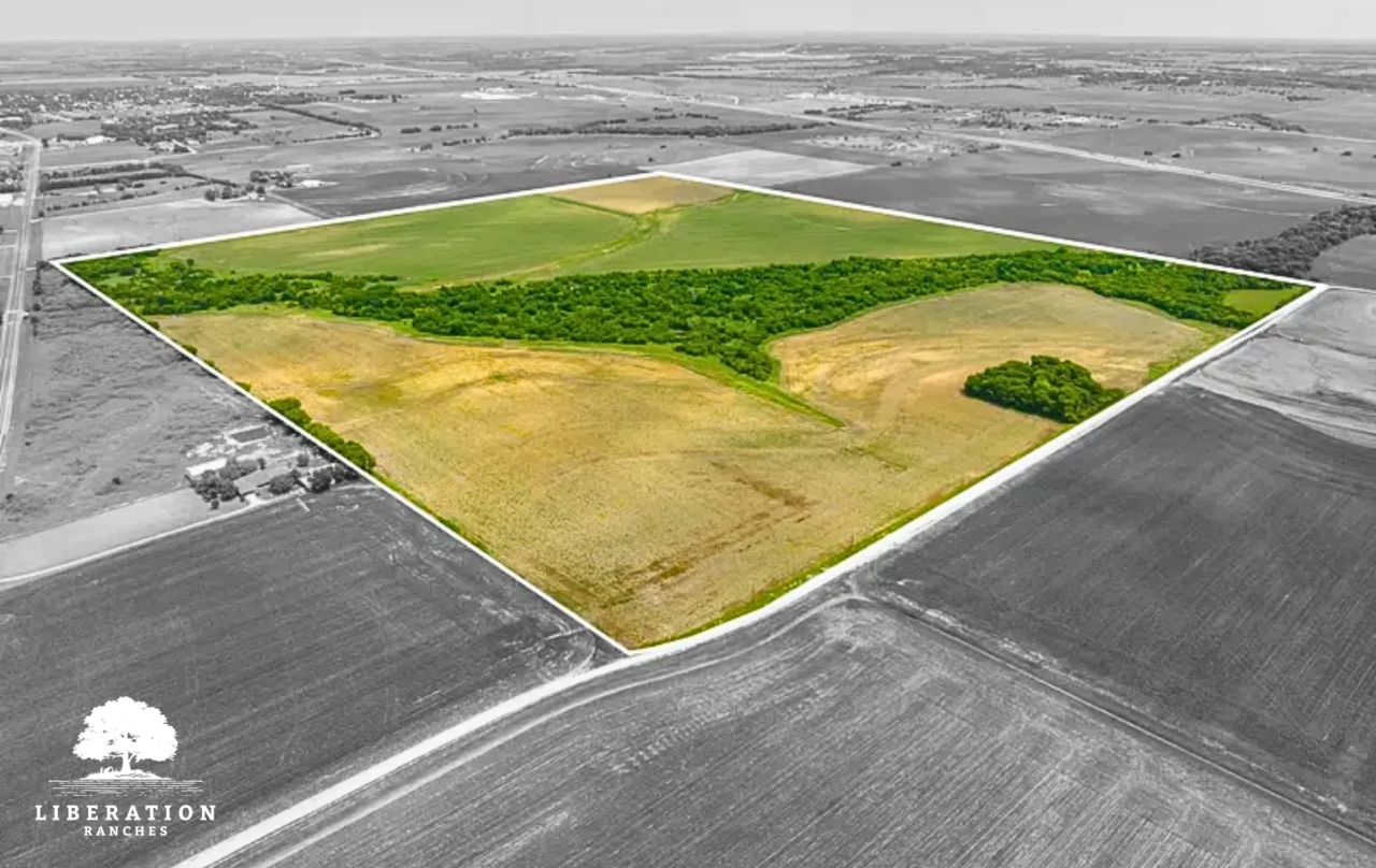 Itasca Tract 2 11 Acres Only 15K Down - Hunting Land for Sale ...