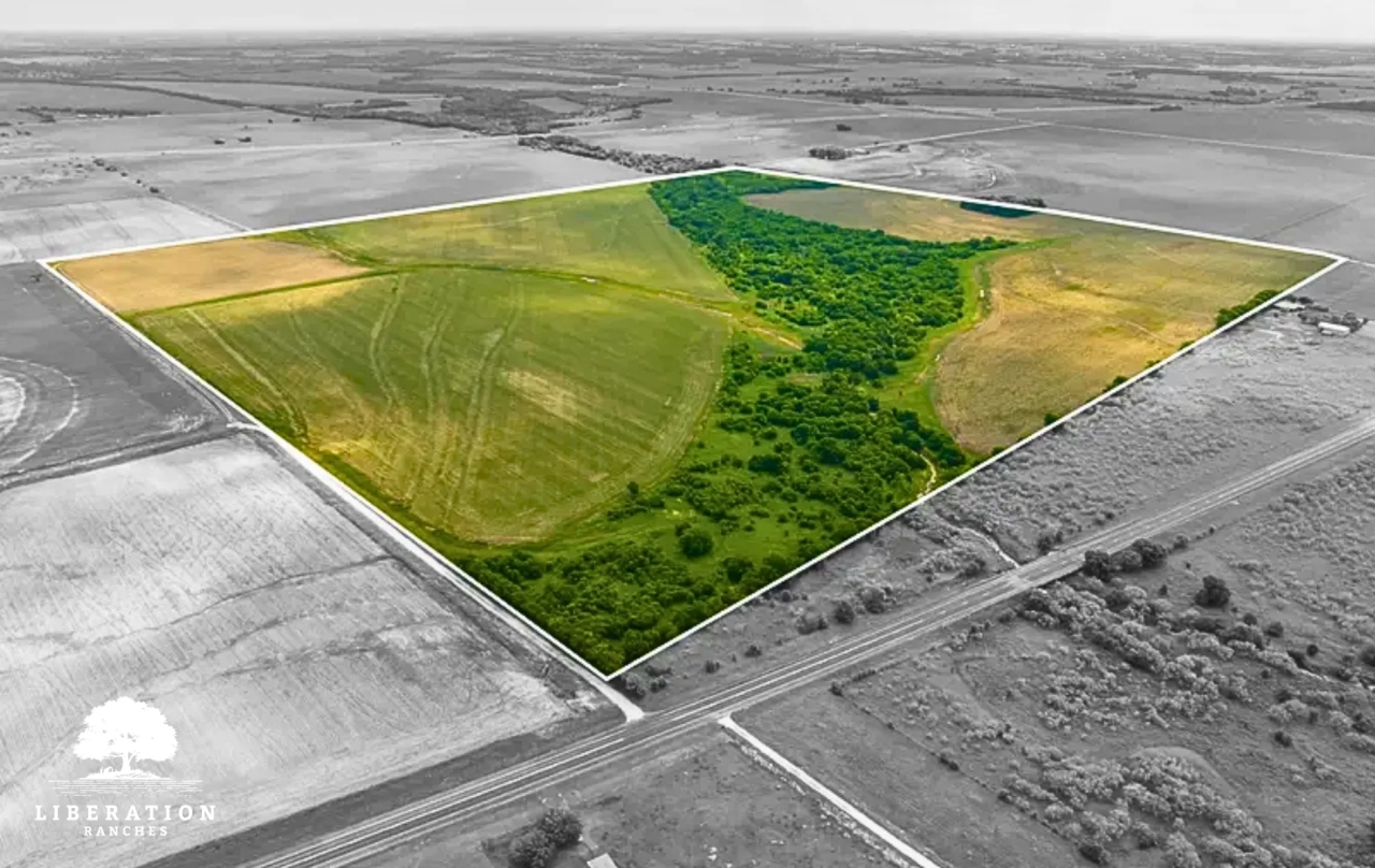 Itasca Tract 2 11 Acres Only 15K Down - Hunting Land for Sale ...