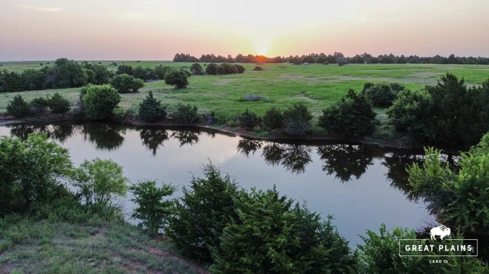 Covington 20 - Hunting Land for Sale - HuntingLocator.com ...