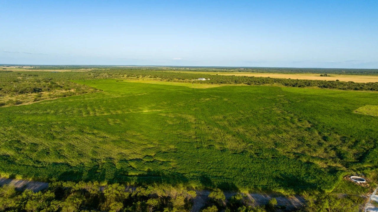 Brady Creek Ranch - Hunting Land for Sale - HuntingLocator.com ...