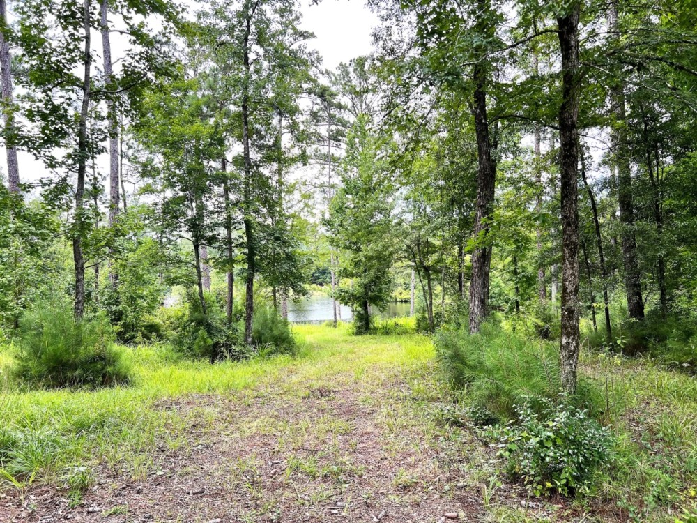 03-047-acres-of-grace - Hunting Land for Sale - HuntingLocator.com ...