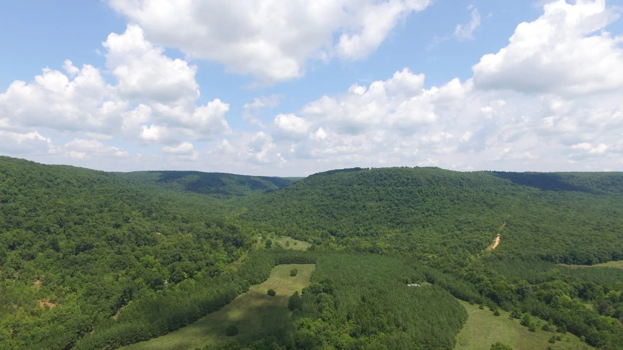 Ozark Mountain Farm in Harrison Arkansas for Sale - Hunting Land for Sale - HuntingLocator.com ...