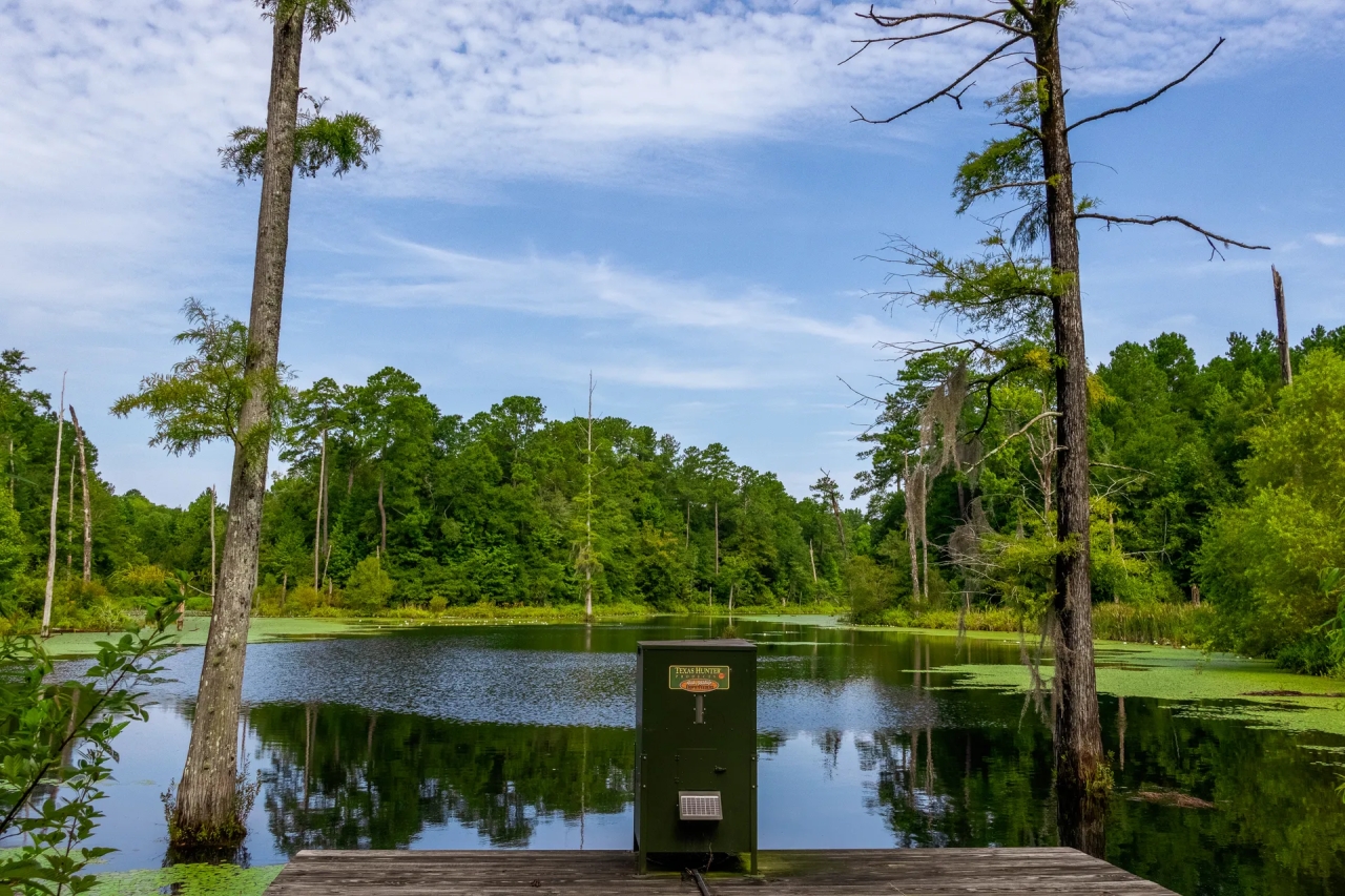 Old Hall Plantation Beautiful Riverfront Property Hunting Land For old-hall-plantation-beautiful-riverfront-property-hunting-land-for