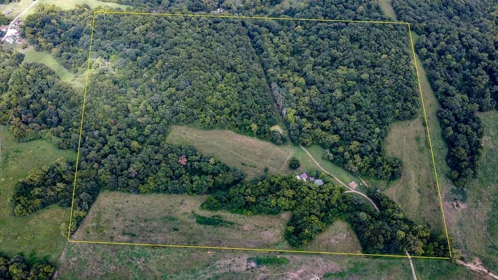 Secluded 74 Acre Calhoun County Hunting Farm. - Hunting Land for Sale ...