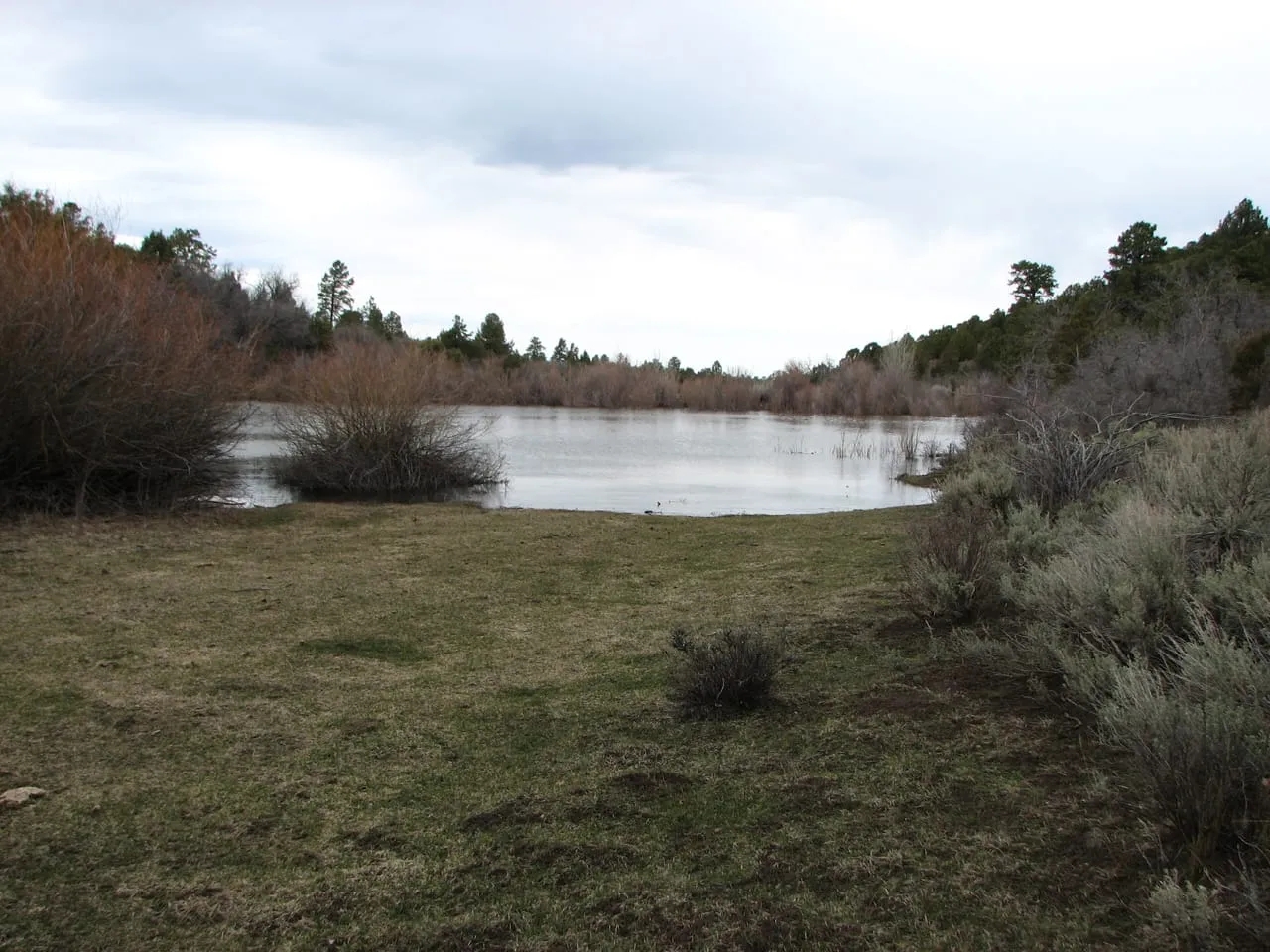The Bluffs Ranch Lot 3 - Hunting Land for Sale - HuntingLocator.com ...