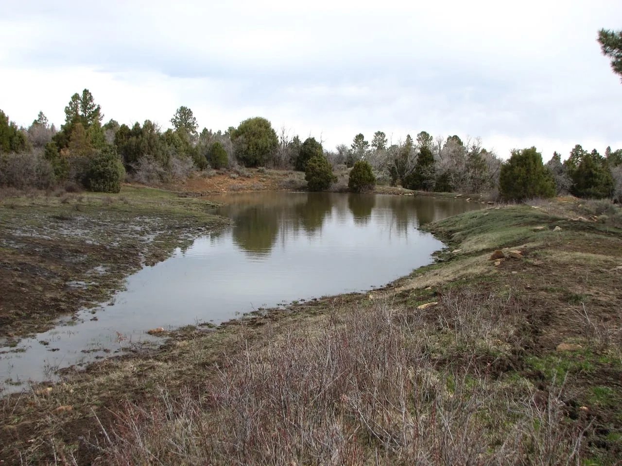 The Bluffs Ranch Lot 3 - Hunting Land for Sale - HuntingLocator.com ...