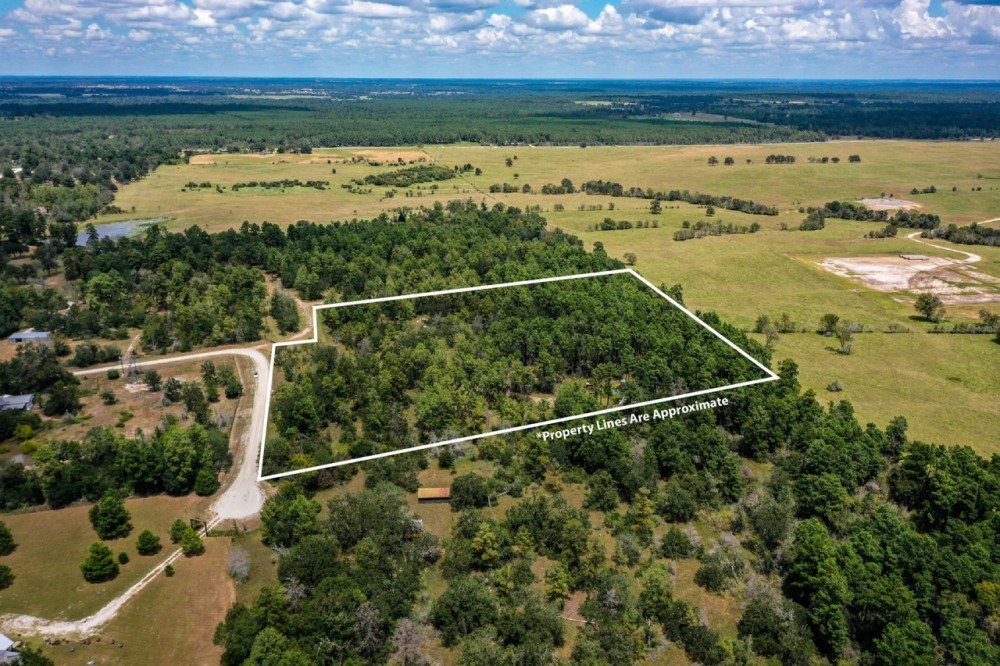 39 Shiloh Lane - Hunting Land for Sale - HuntingLocator.com ...