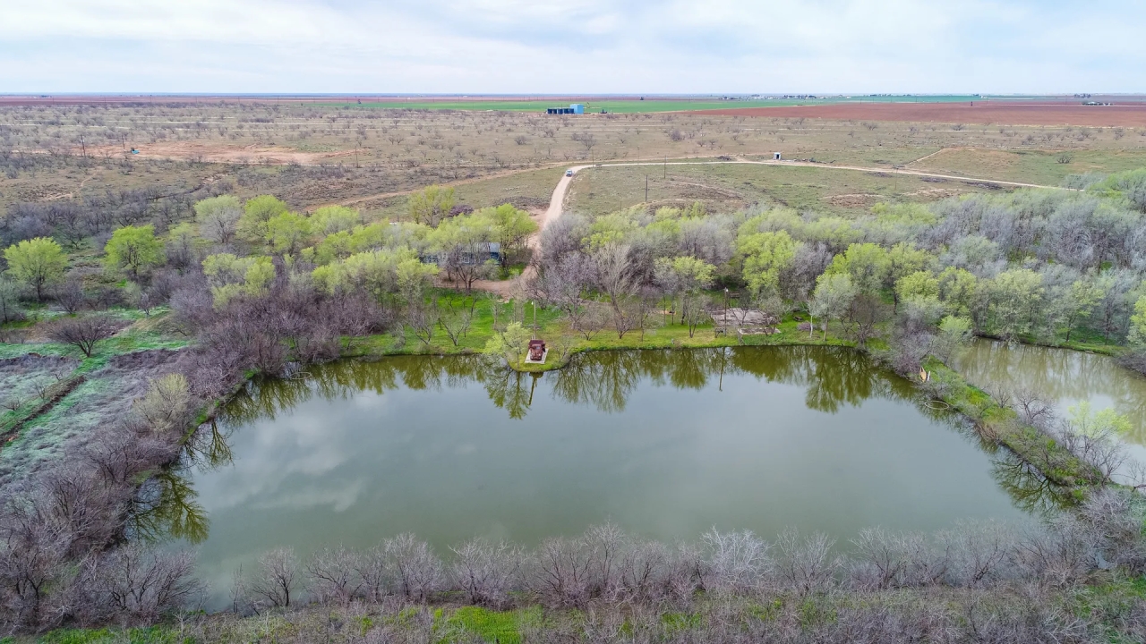 Dawson County Oasis - Hunting Land for Sale - HuntingLocator.com ...