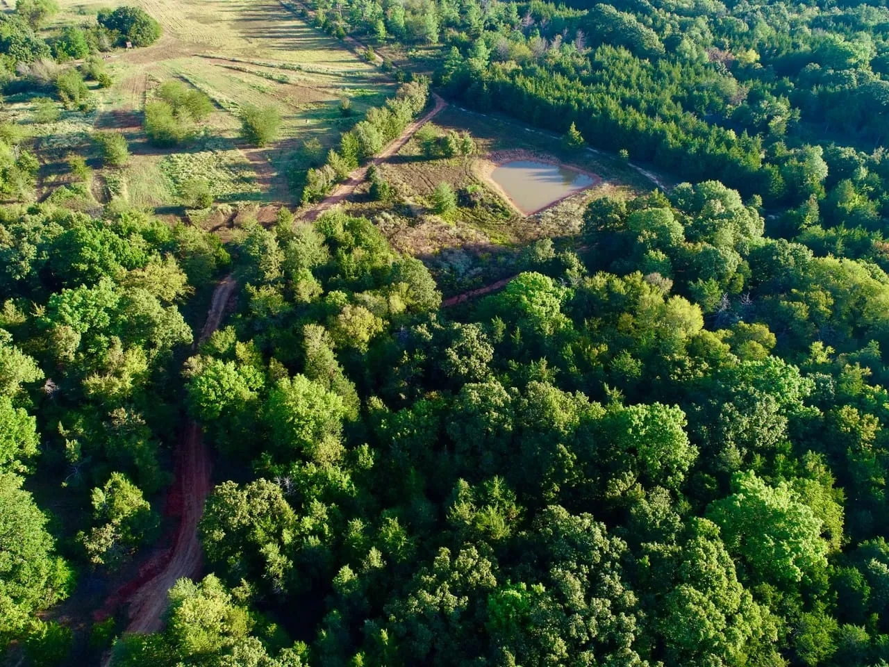 Pat Mayse WMA- 62 - Acres - Hunting Land for Sale - HuntingLocator.com ...