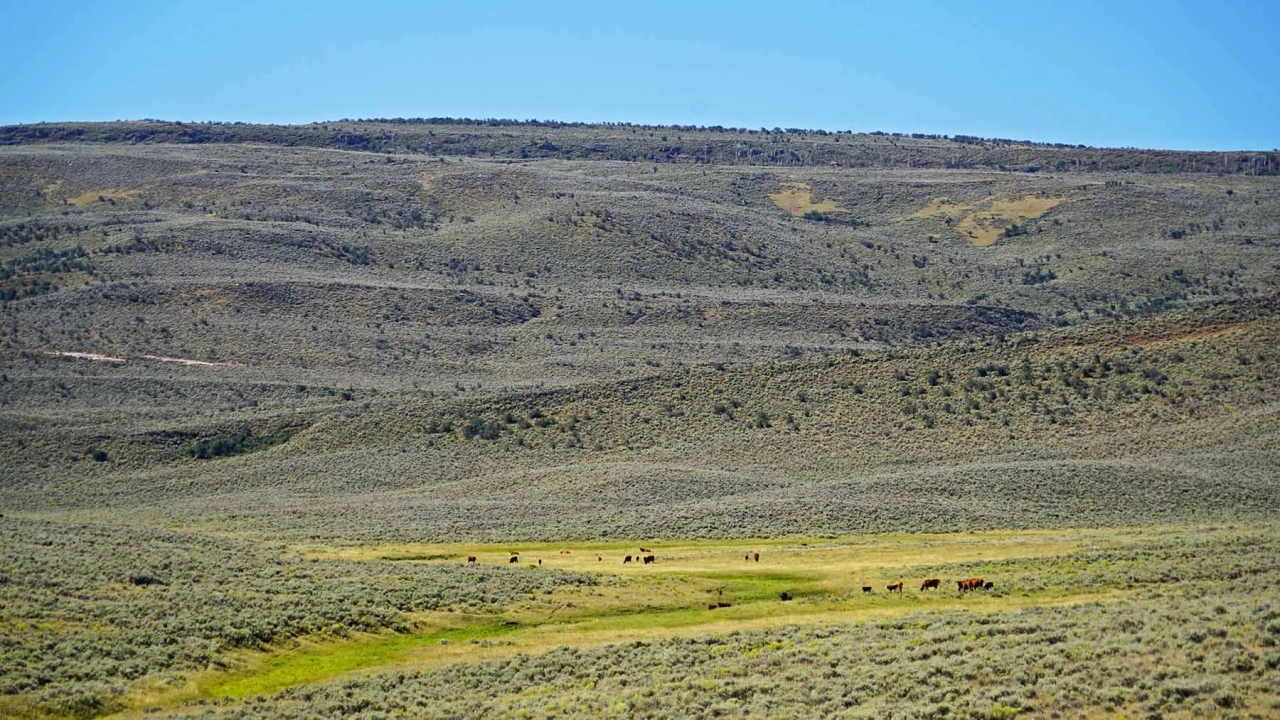 K Ranch - Hunting Land for Sale - HuntingLocator.com - HuntingLocator.com