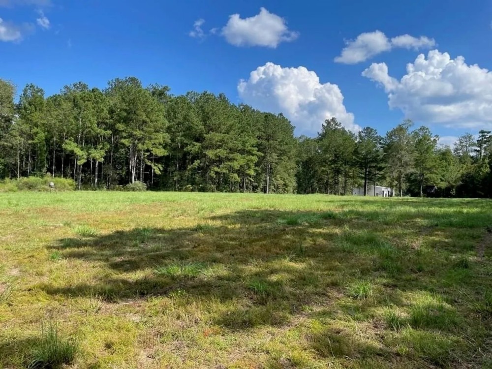 Turn Key 85 Acres in Sandy Hook MS - Hunting Land for Sale ...