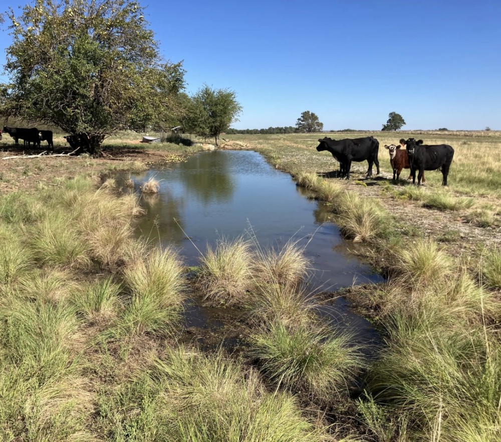 Moore Ranch -160 Acres - Hunting Land for Sale - HuntingLocator.com ...
