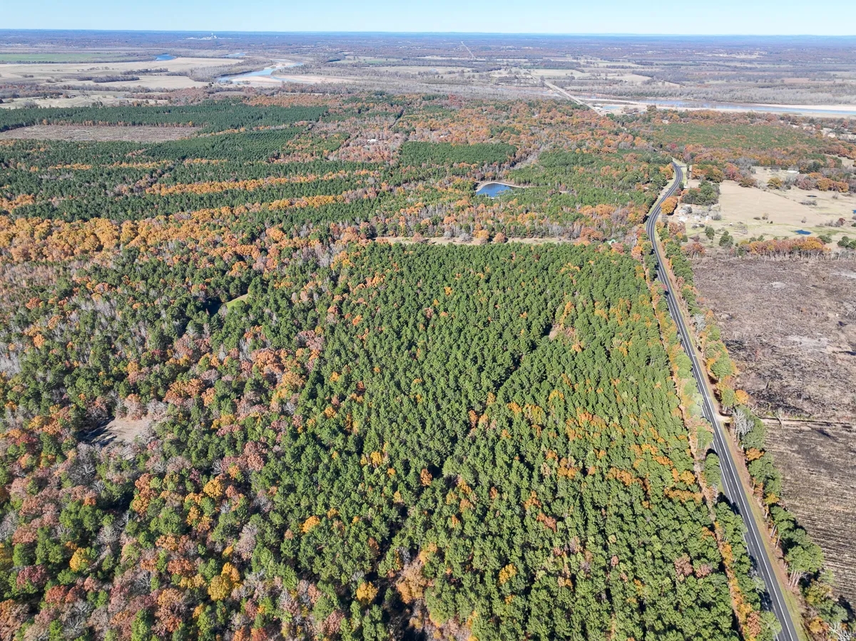 21 Acres Hwy 37 T-5 Kiskadee - Hunting Land for Sale - HuntingLocator ...