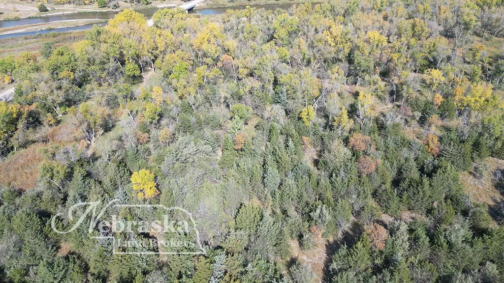 Sarben NE Acreage - Hunting Land for Sale - HuntingLocator.com ...