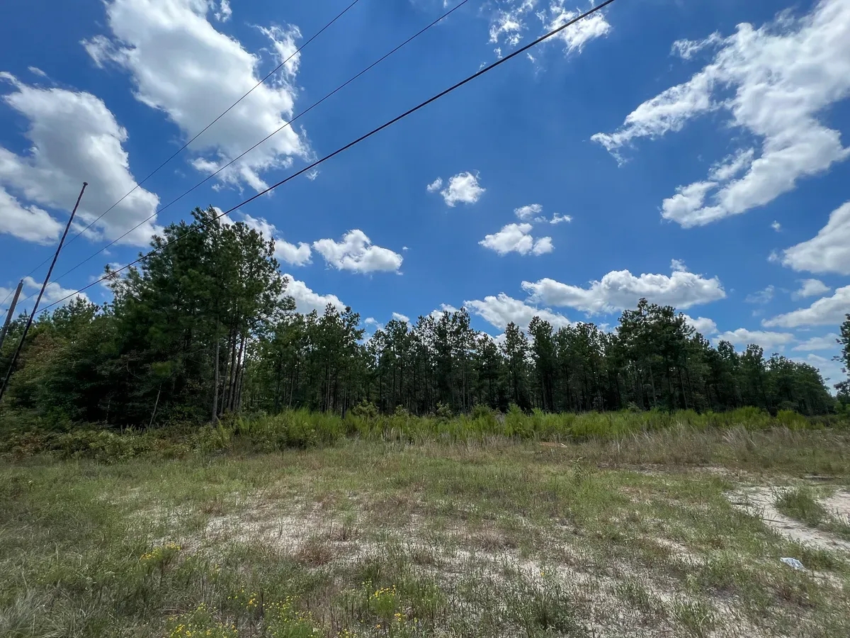 16 Acres CR 1420 T-15 - Hunting Land for Sale - HuntingLocator.com ...