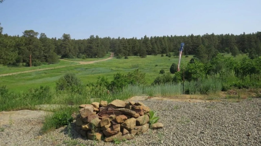 59.9 acres at LDS - Hunting Land for Sale - HuntingLocator.com ...