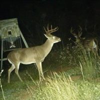 Texas Hunting and Deer Leases - HuntingLocator.com