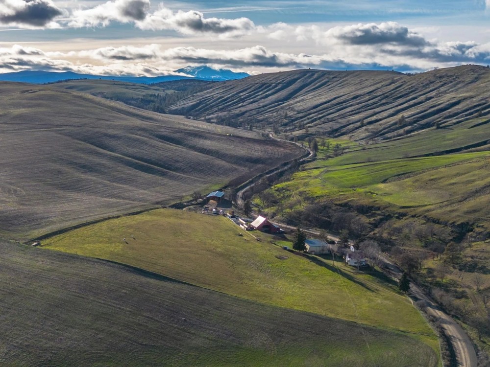 Pine Hollow Farm - Hunting Land for Sale - HuntingLocator.com ...