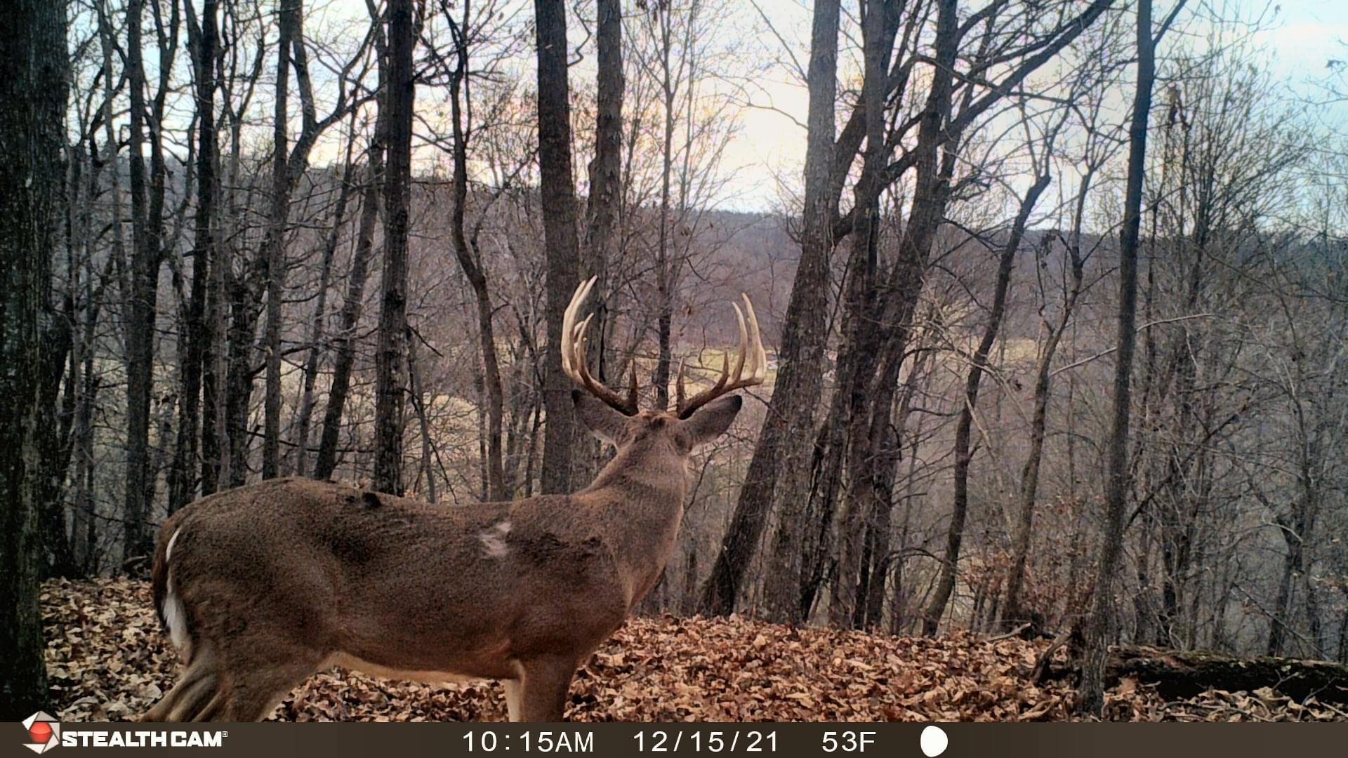 Ky deer hunting - Hunting Leases - HuntingLocator.com