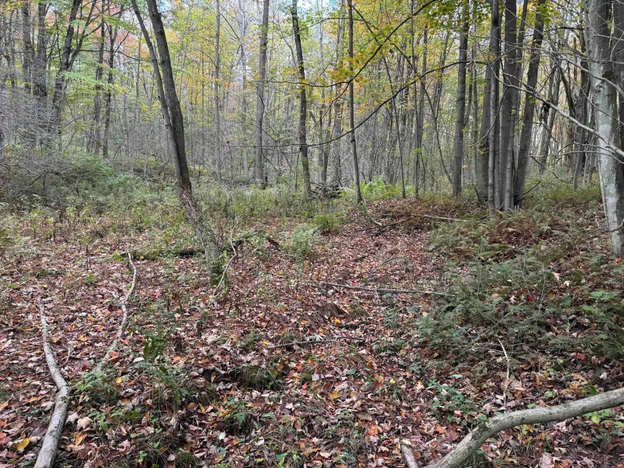 5 acre Building Lot and Hunting Land across from State Land in Gerry NY ...