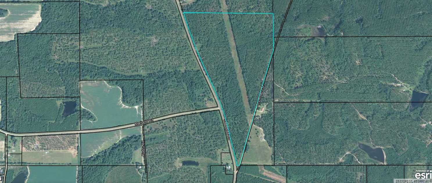 GREAT HUNTING 94 ACRES - Hunting Leases - HuntingLocator.com