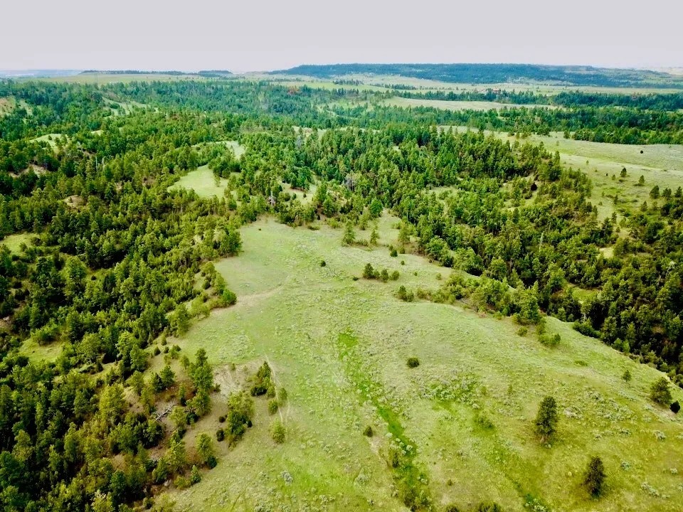 Yellowstone County Scenic Terrain - Hunting Land for Sale ...
